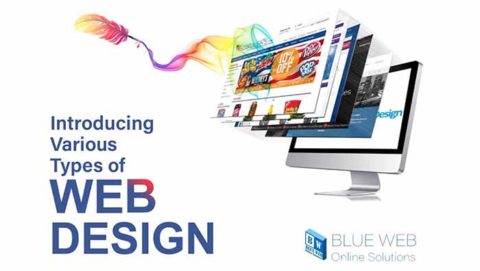 Various Types of web design | Which web design type is better? | blueweb.ca